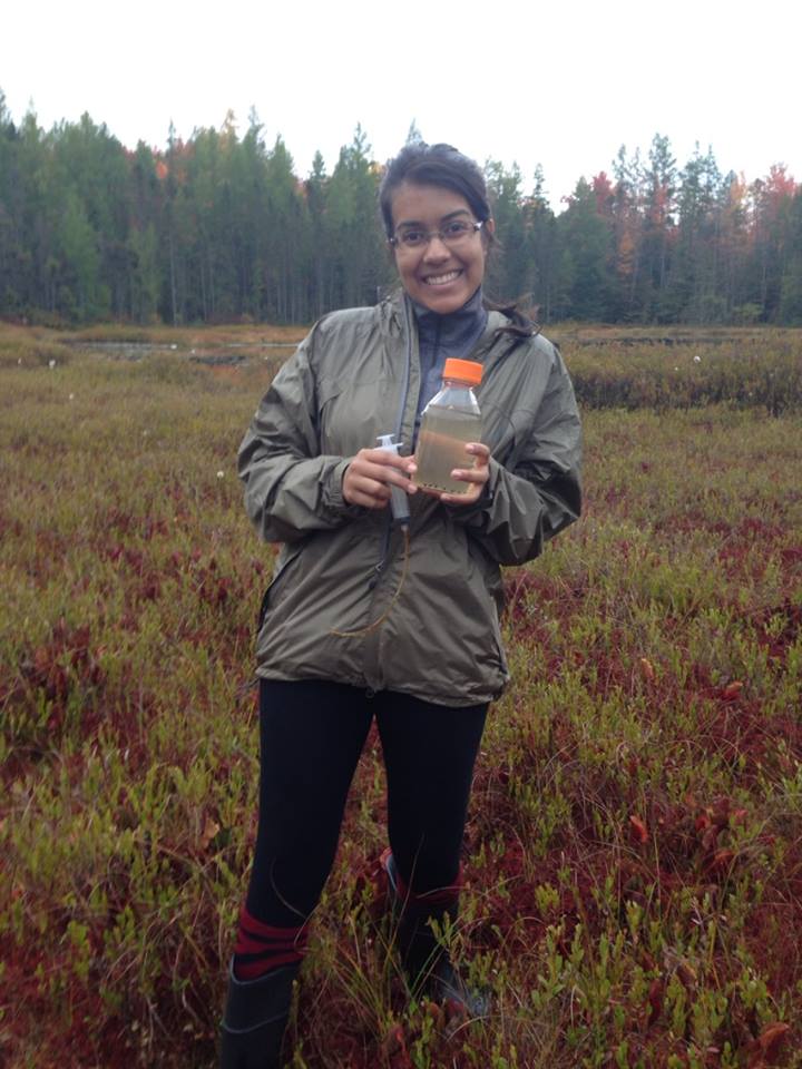 Teaching & Mentoring – Amanda Northrop